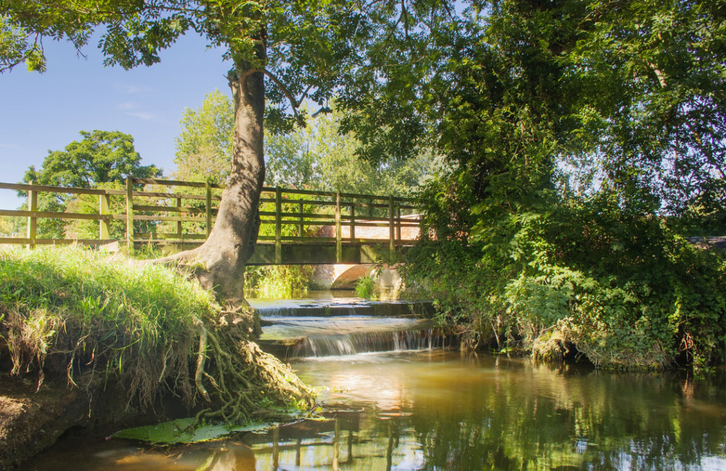 Top 5 Places to Paddle in Suffolk and Essex | Find out more.....